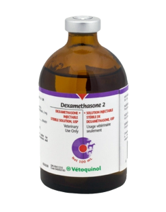 Dexamethasone 2 | Vetoquinol Canada