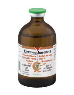 Dexamethasone 5 | Vetoquinol Canada